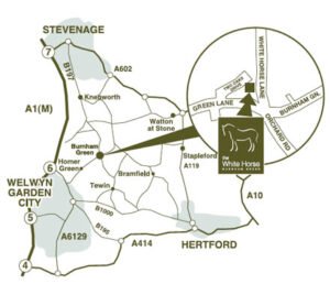 About The White Horse - The White Horse